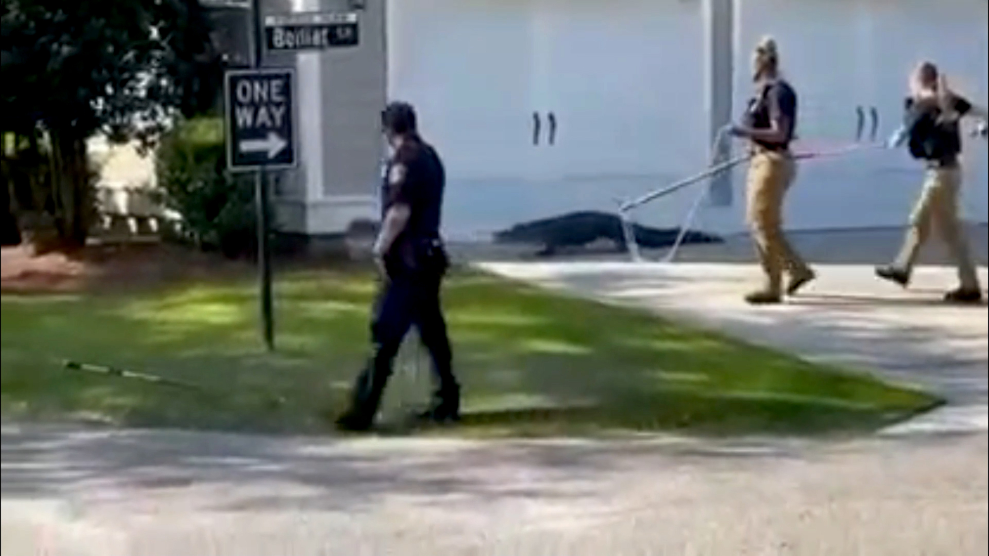 VIDEO: Crocking-Bronco: Brave Cops Rope And Ride Rogue Alligator – MSR ...
