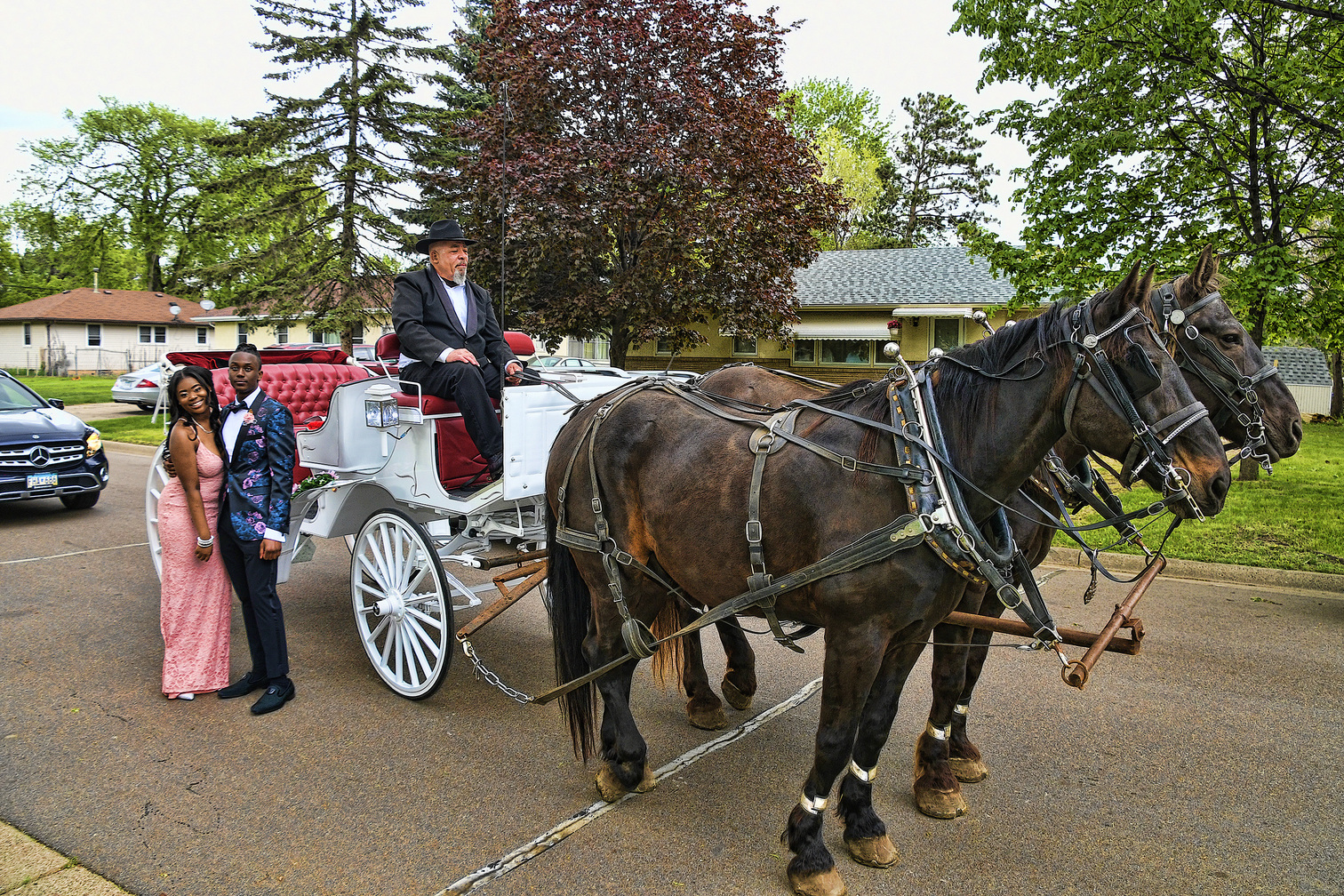 Horse Drawn Carriage Wedding