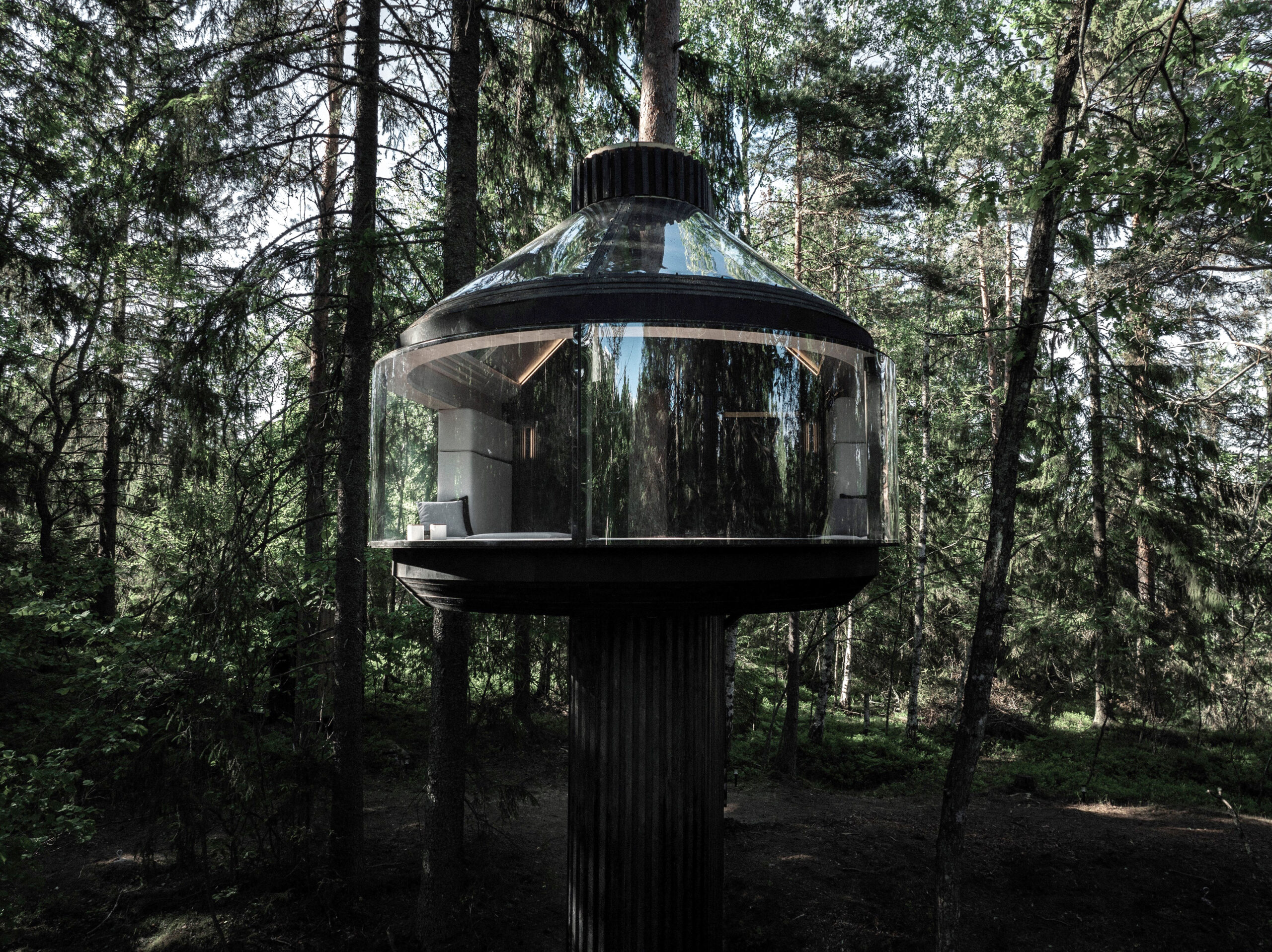 Out Of This World: UFO-Like Treehouse Offers Forest Views – Minnesota ...
