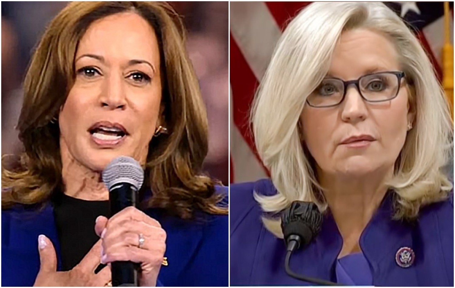 Liz Cheney endorses Kamala Harris for president, calls Trump a threat ...